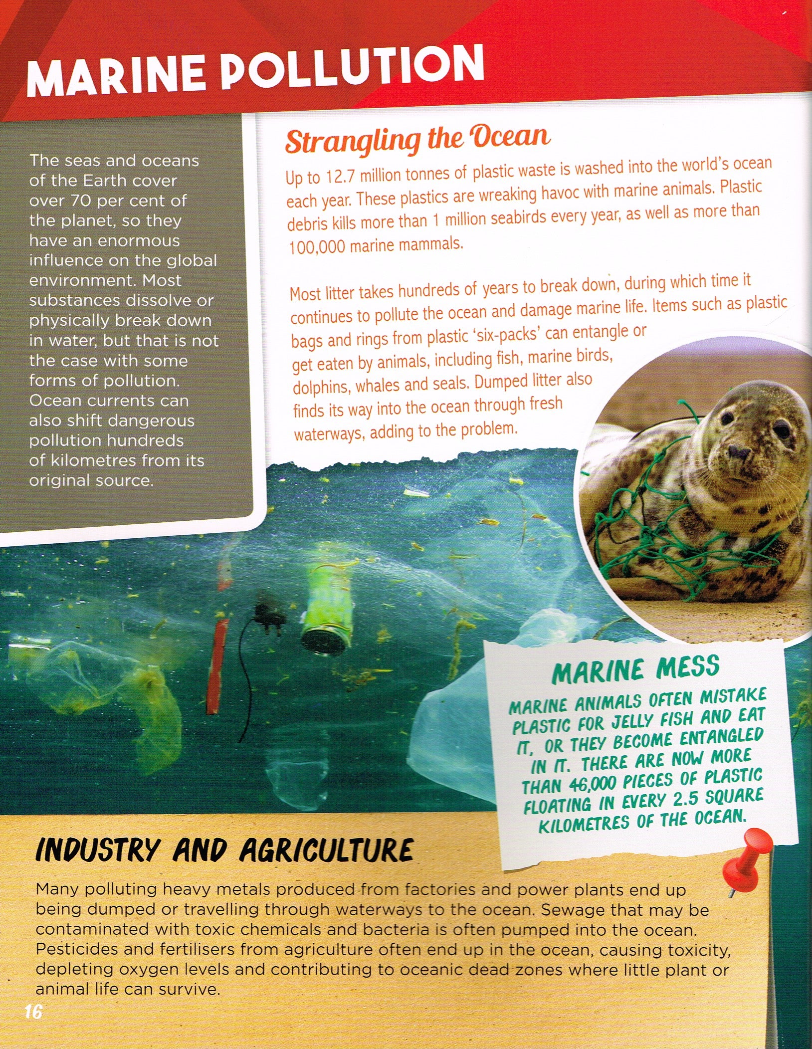 Australia's Environmental Issues 6 Pack – Larrikin House